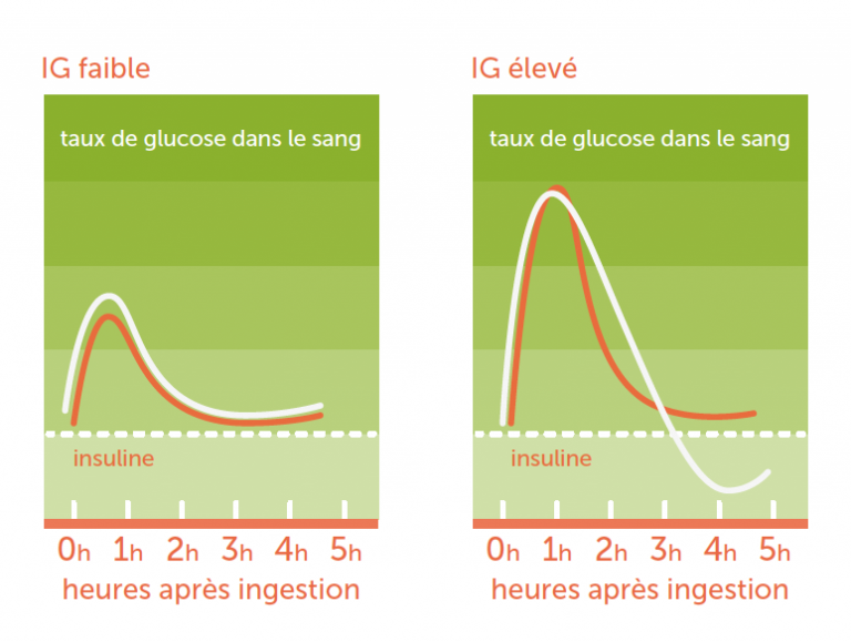 Adieu « sucres lents et rapides », bonjour « Indice Glycémique ...